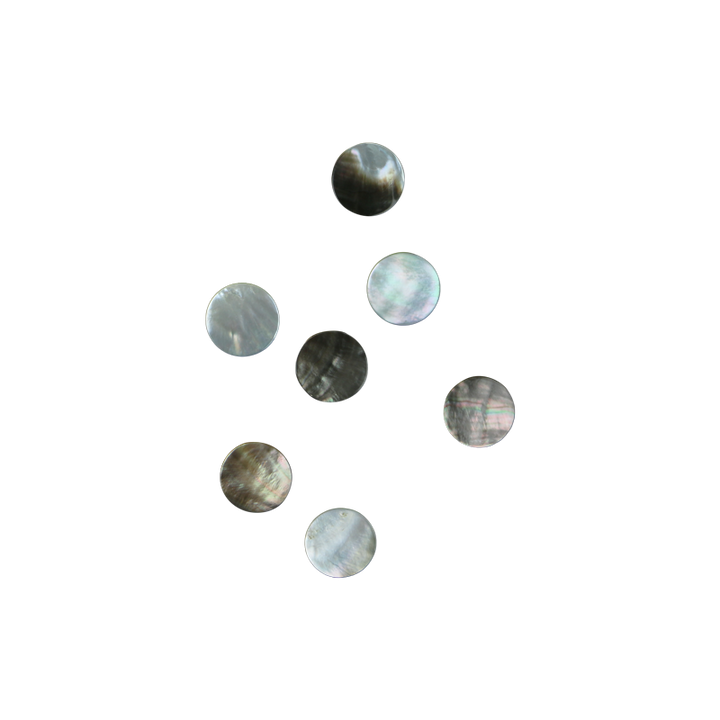 Products – Ocean Shell Studios