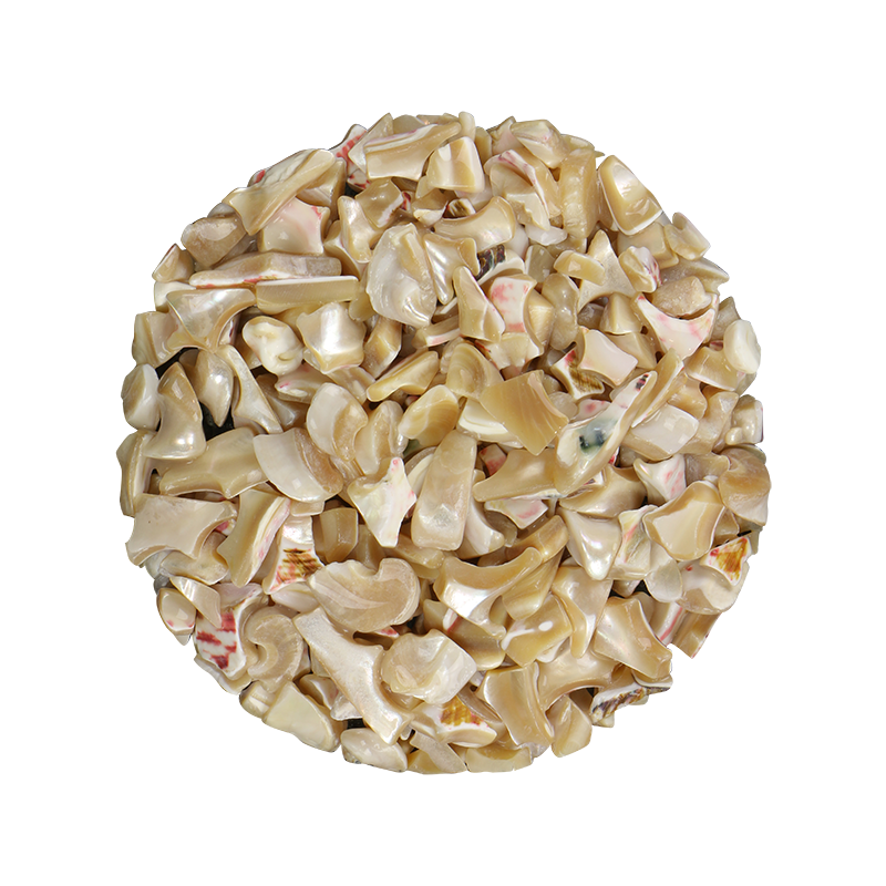 Trochus Shell Terrazzo Chip | 10–15mm | Casting, Resin & Flooring ...