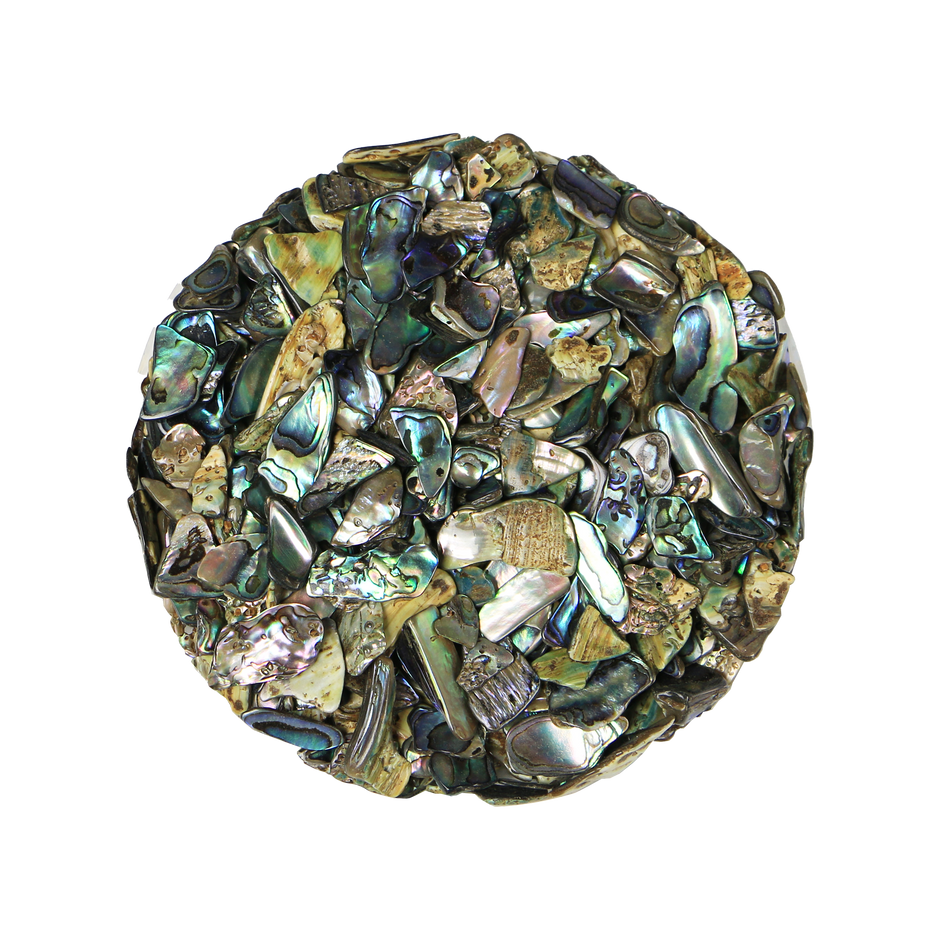 NZ Paua Shell Chunky Pieces | Jewellery, Mosaics & Resin Crafting ...