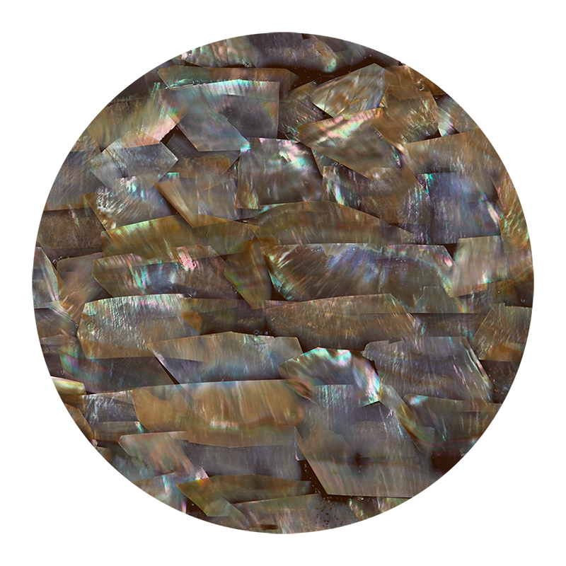 SHELL VENEER COATED - WING OYSTER NATURAL – Ocean Shell Studios